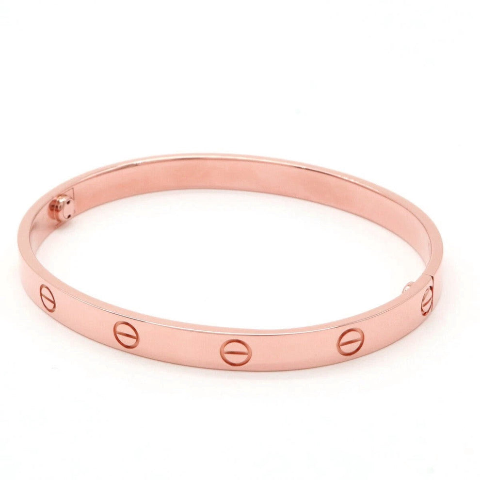 Designer Inspired Brushed LOVE Bangle Bracelet Classic Model Screw ...